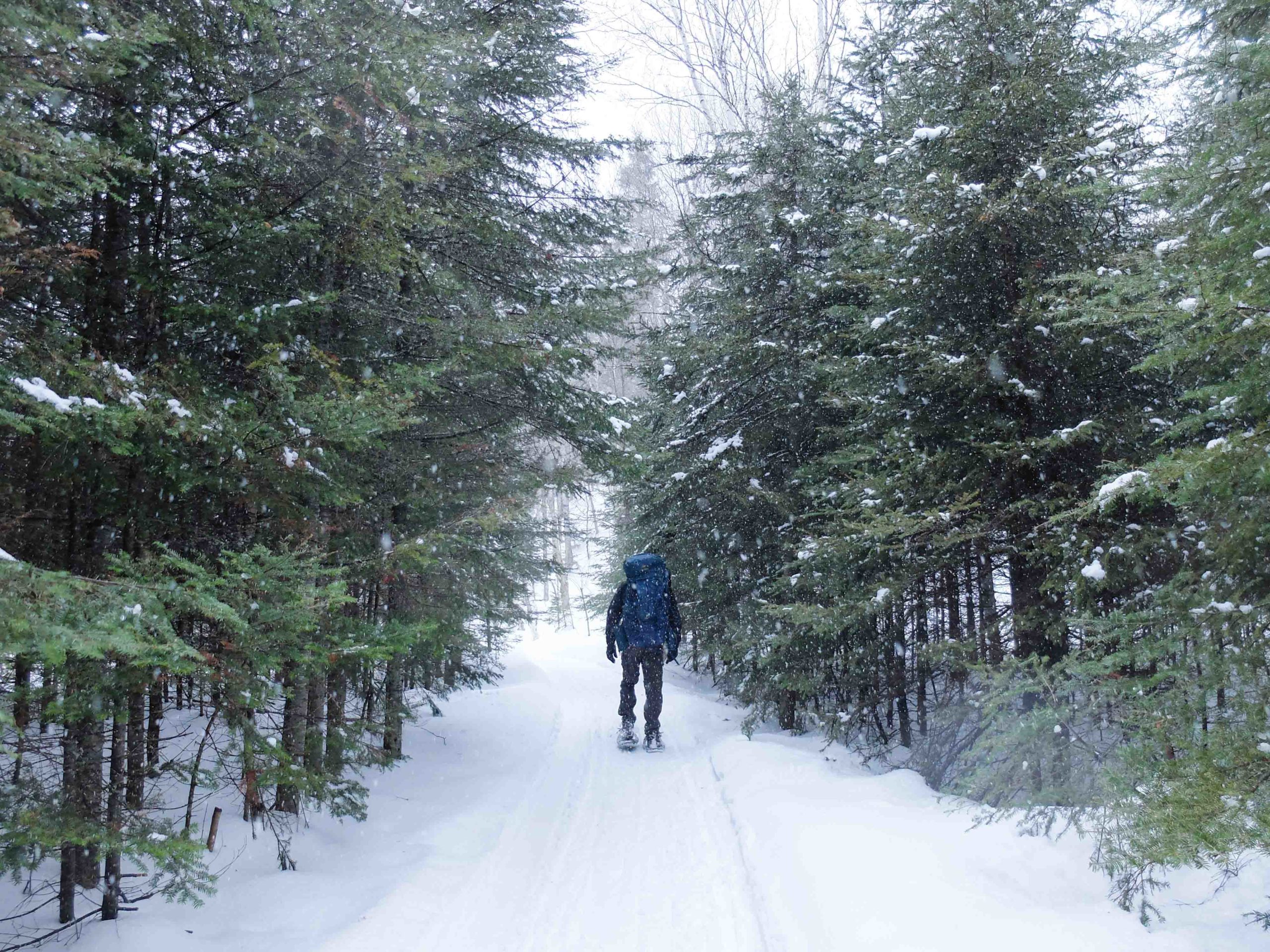 Mon top 5 des activités d’hiver à faire au Québec – L'Instant Vagabond